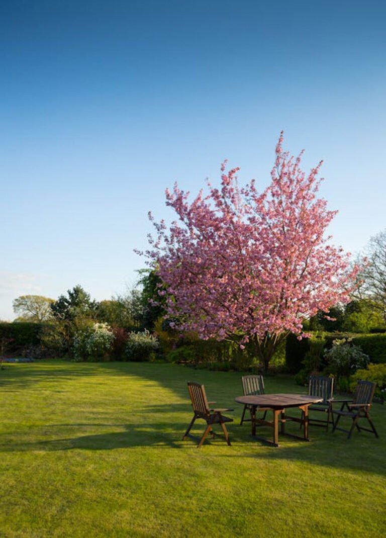 10 Essential Tools for Your Outdoor Maintenance Business in 2025