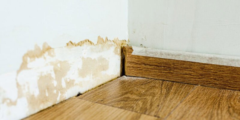 How to Recognize the Early Signs of Water Damage in Your Home?