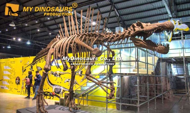 Uncovering the Secrets of the Spinosaurus Skeleton